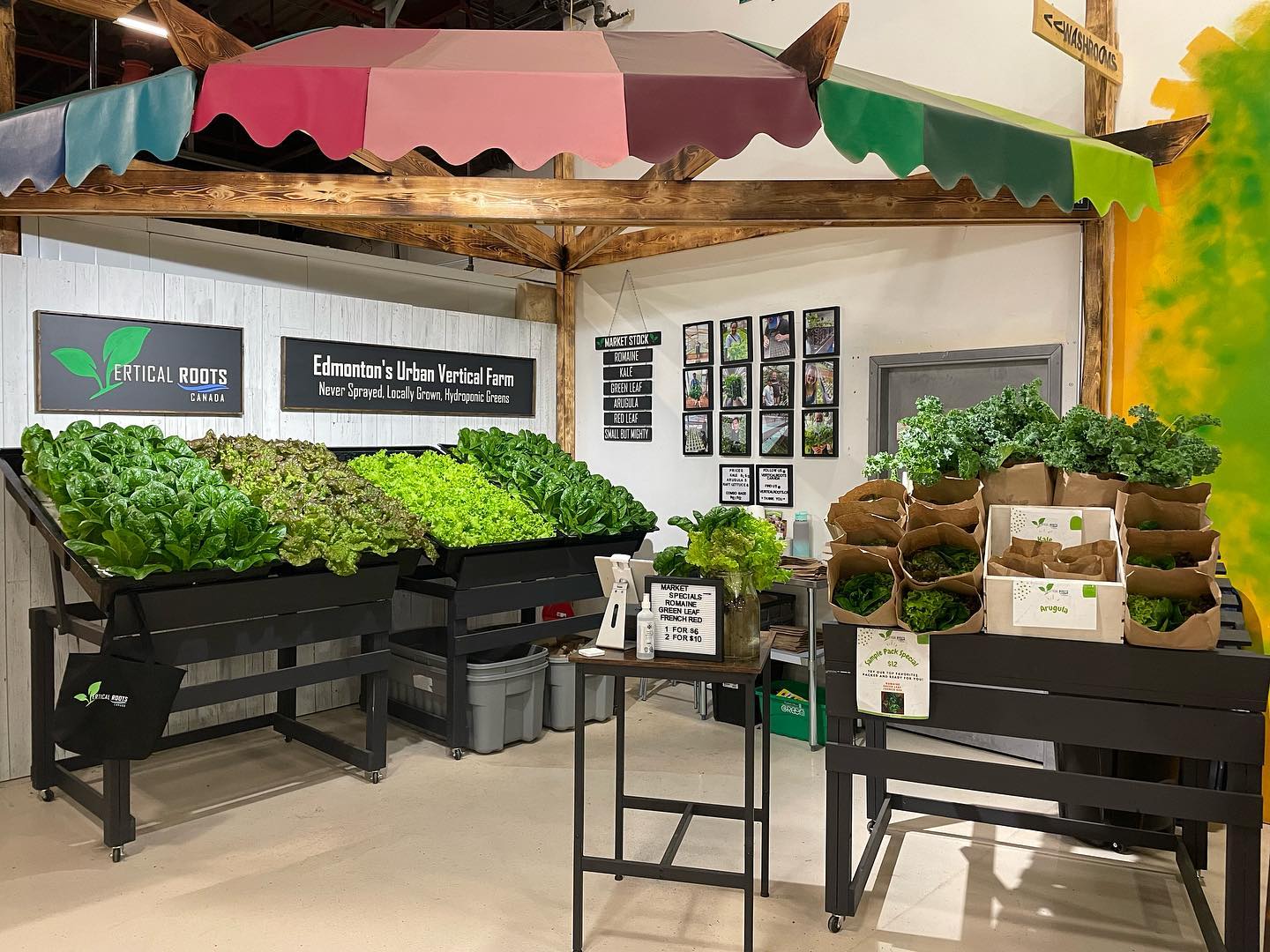 Shop | Vertical Roots Edmonton
